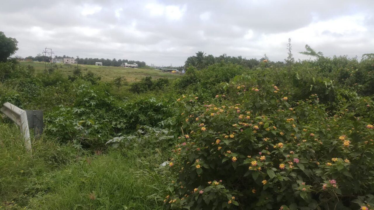 COIMBATORE – MADUKKARAI VILLAGE - Covai Banks Auction